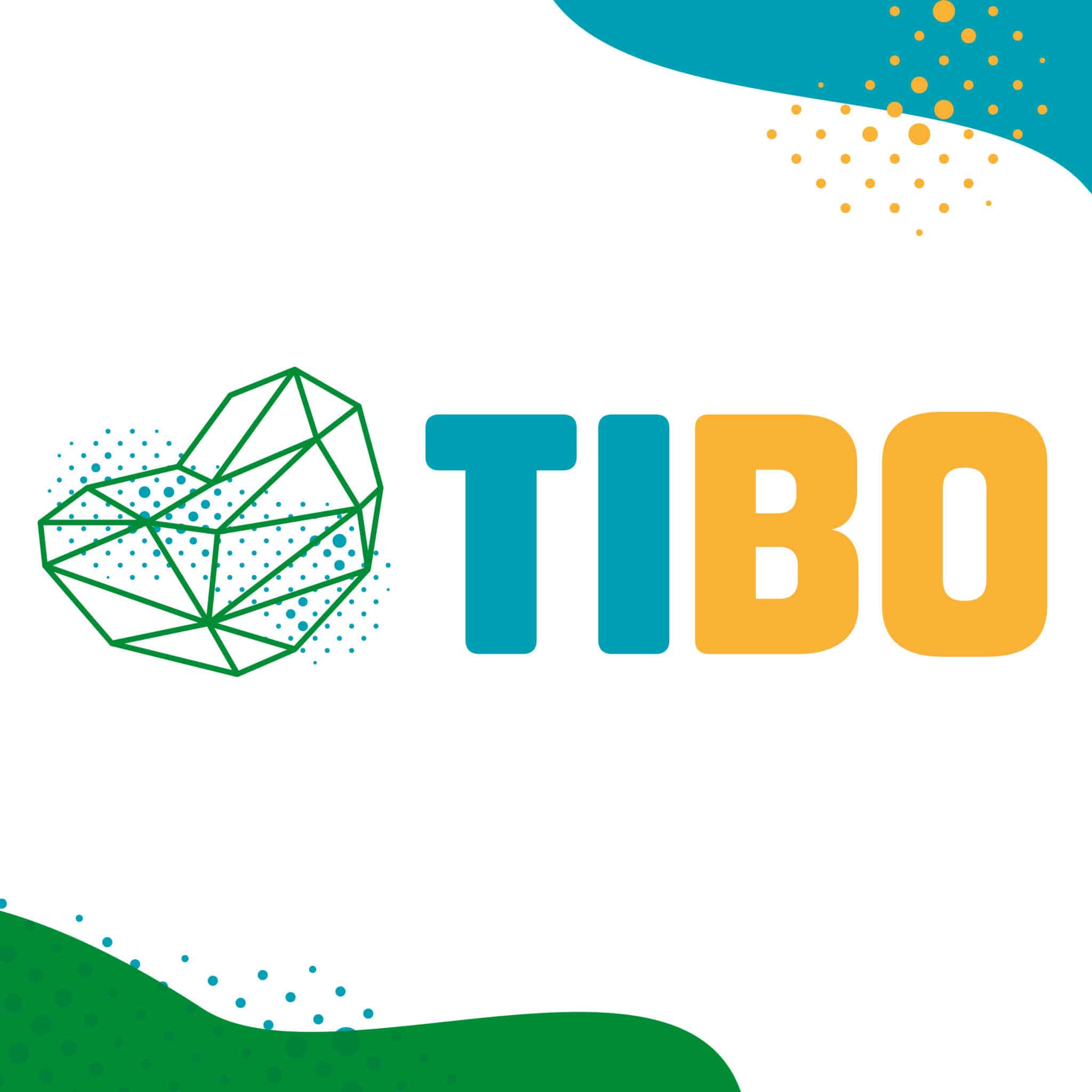 TIBO`s Digital Learning Campus Lernort - Transformations- und ...